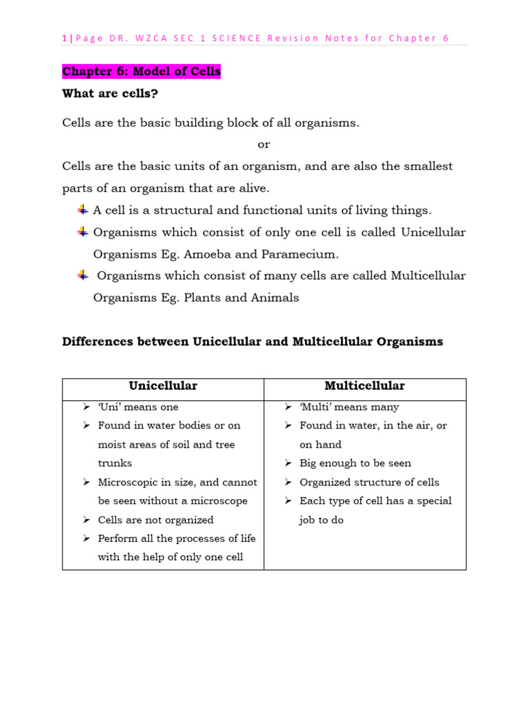 Cell Structure and Function Overview | PDF | Cell (Biology) | Tissue ...