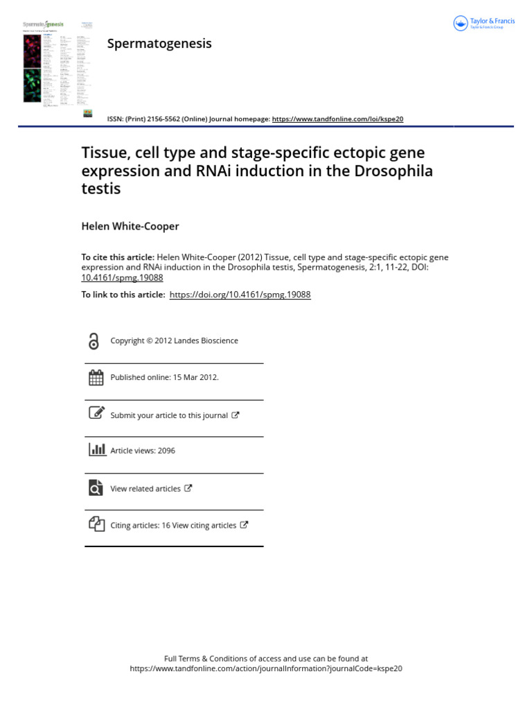 Tissue Cell Type And Stage Specific Ectopic Gene Expression And Rnai