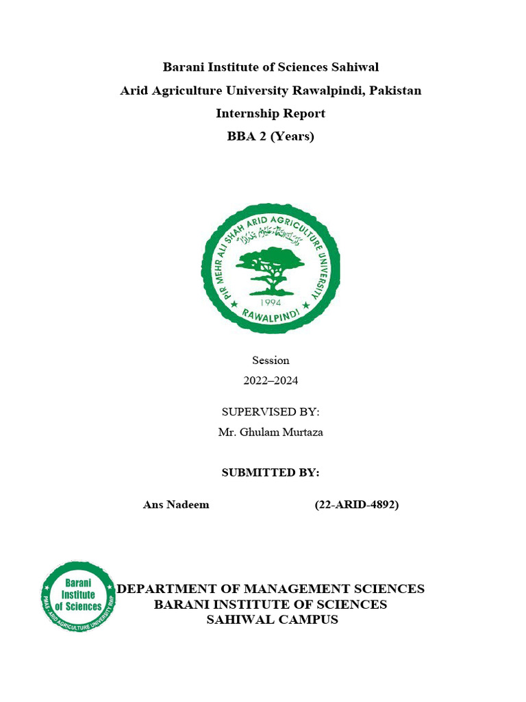 Internship Report Ans | PDF