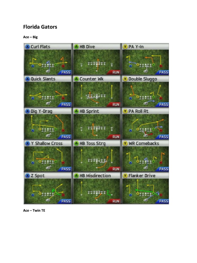 2011 Florida Offensive Playbook