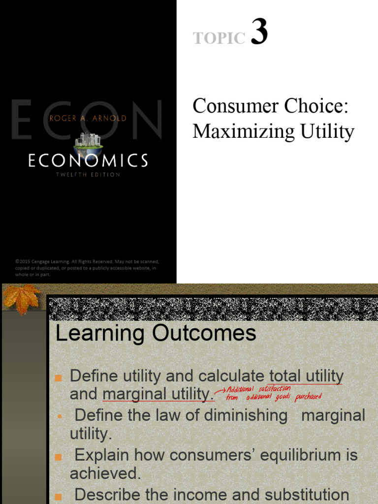 W4 Topic 3.CONSUMER CHOICE | PDF | Utility | Economic Equilibrium
