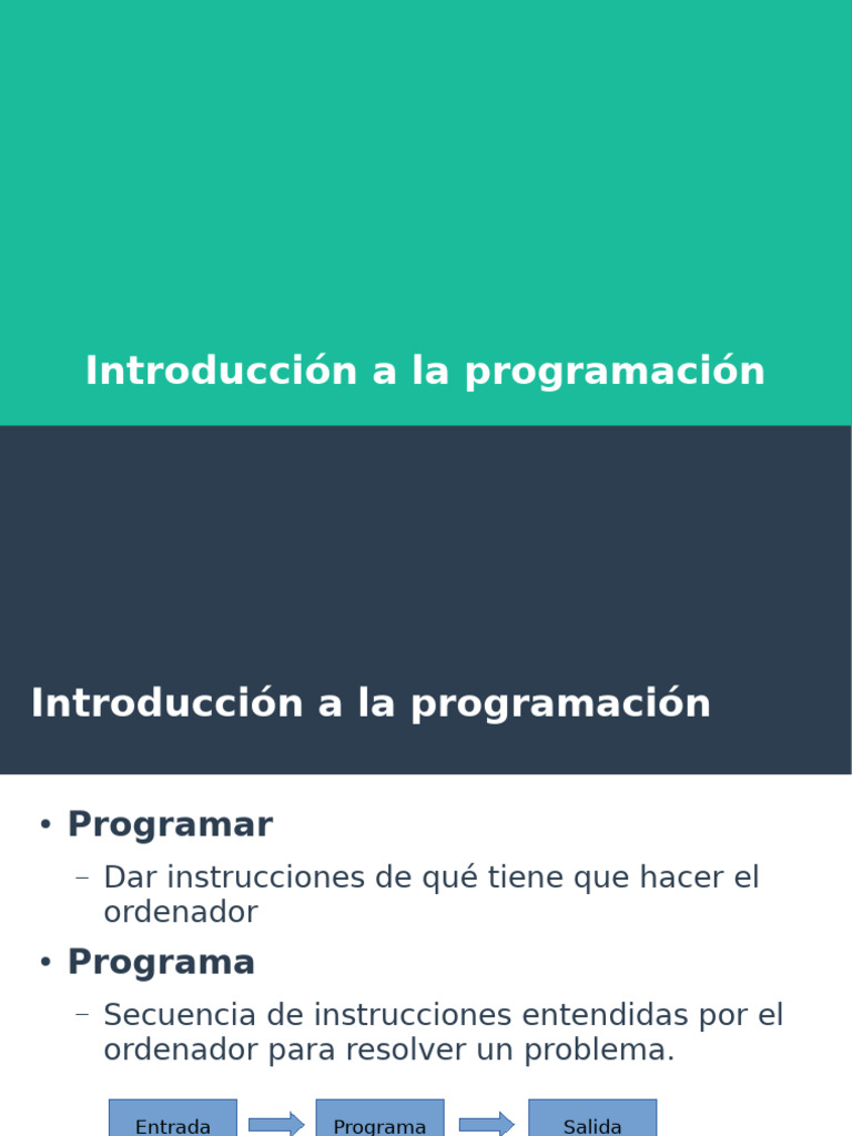 Introducción a la Programación y Algoritmos | PDF | Informática