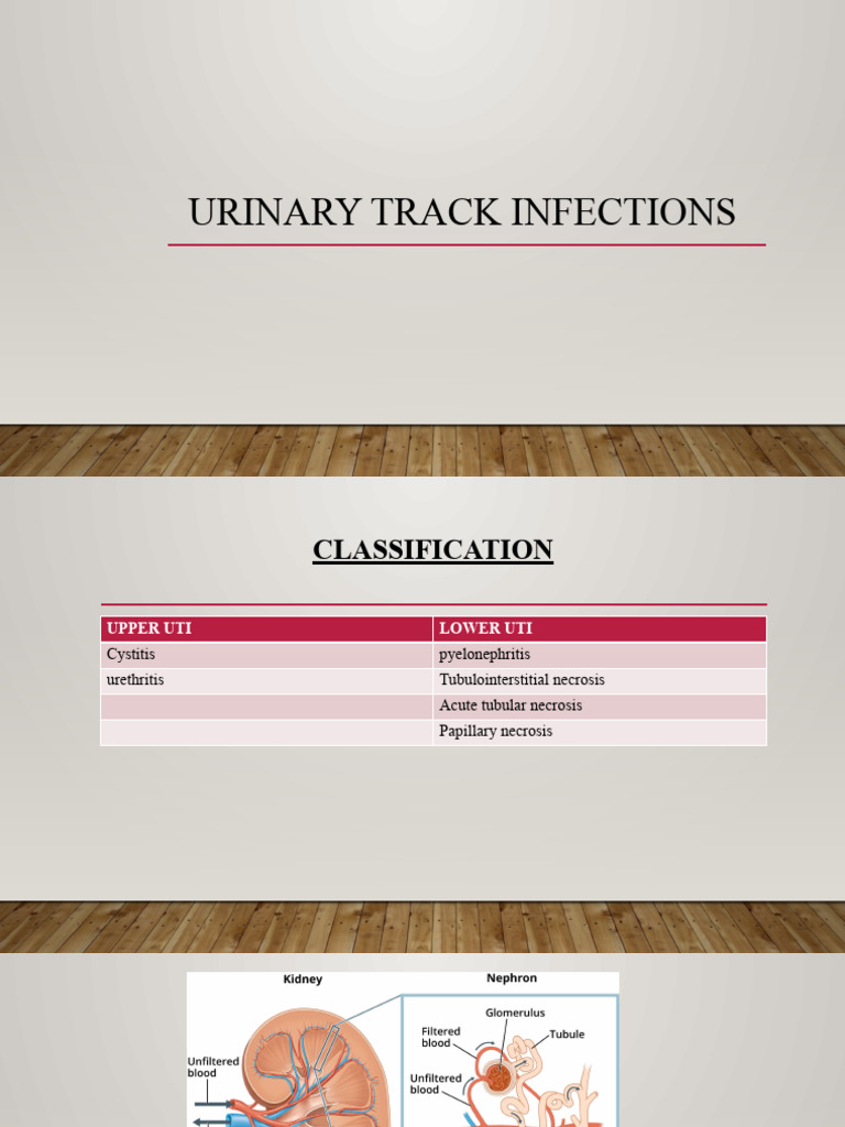 Urinary Track Infections . .1 | PDF | Urinary Tract Infection | Kidney
