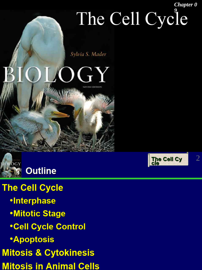 chapter_9_CELL-CYCLE | PDF | Mitosis | Cell Cycle