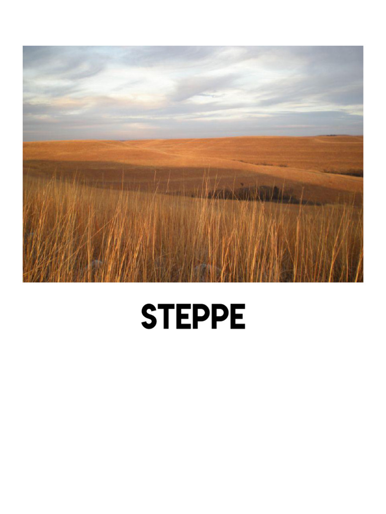 6 Types of Vegetation Covers | PDF