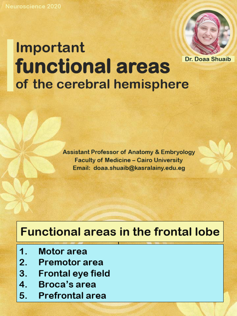 Functional Areas 1 - Doaa 2020 | PDF