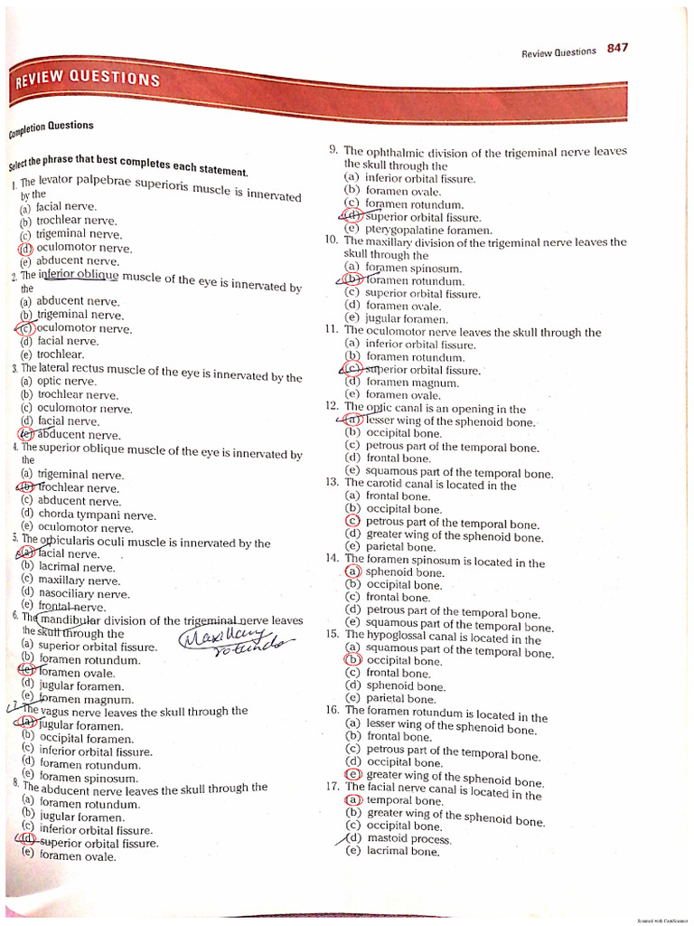 Snell MCQ | PDF