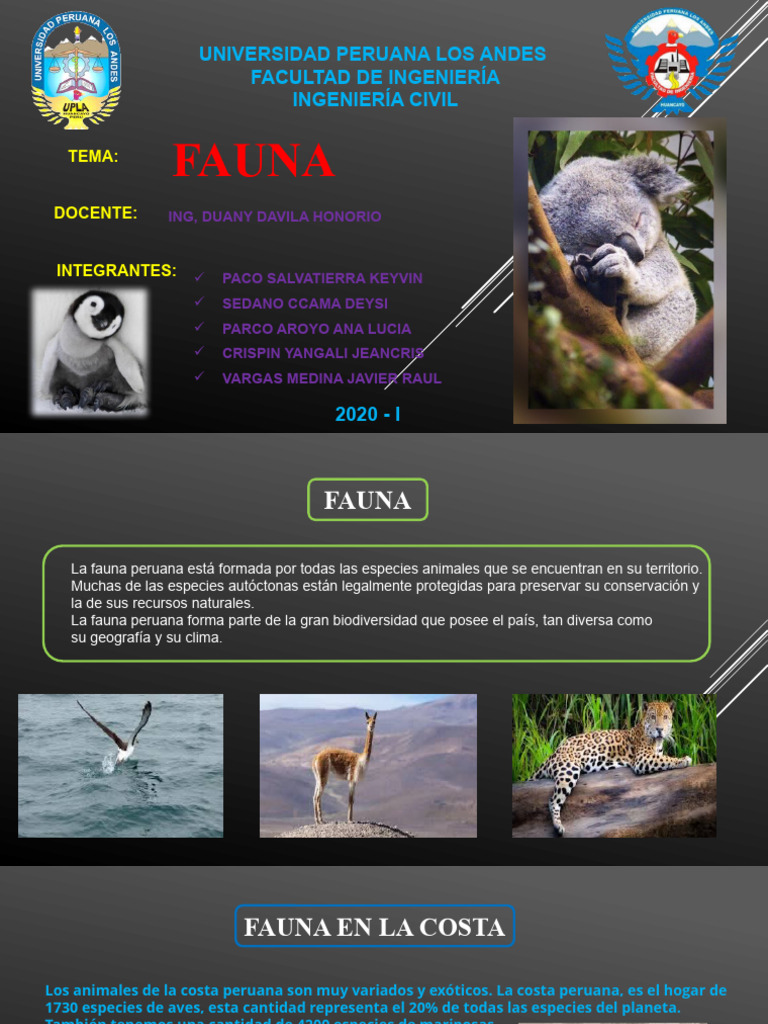 GRUPO 5 - FAUNA | PDF | Fauna | Perú