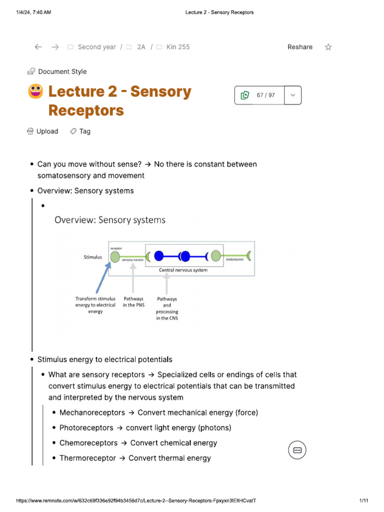 Remnote Lecture 2 | PDF