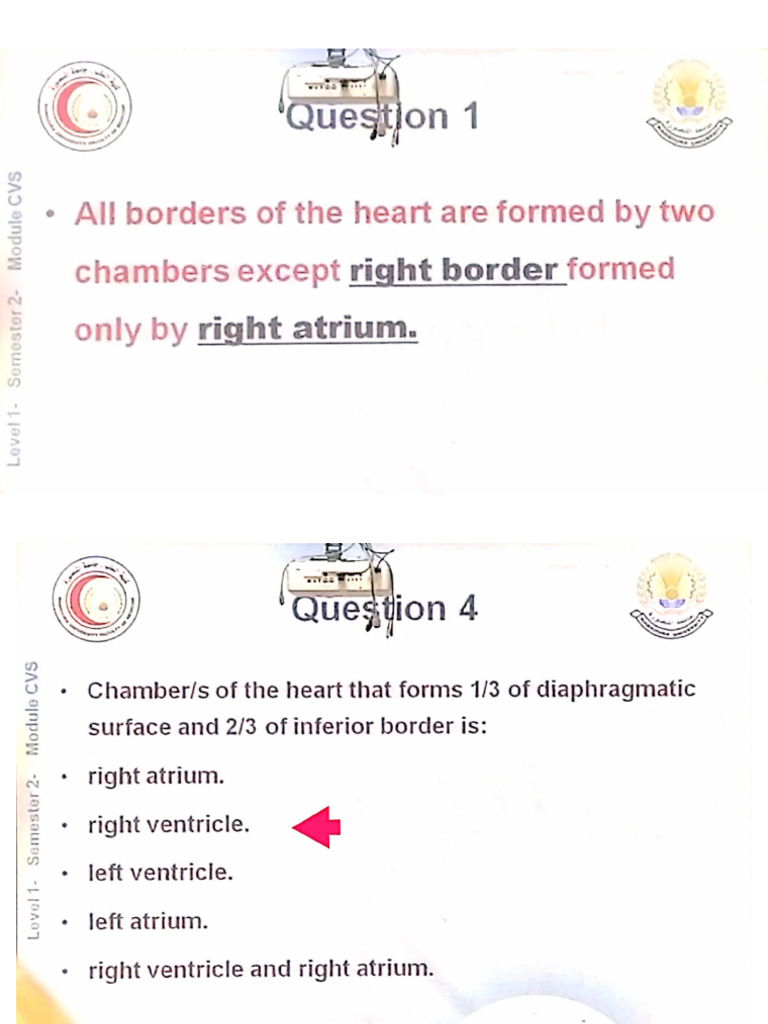 mcq embryo المنصوره | PDF