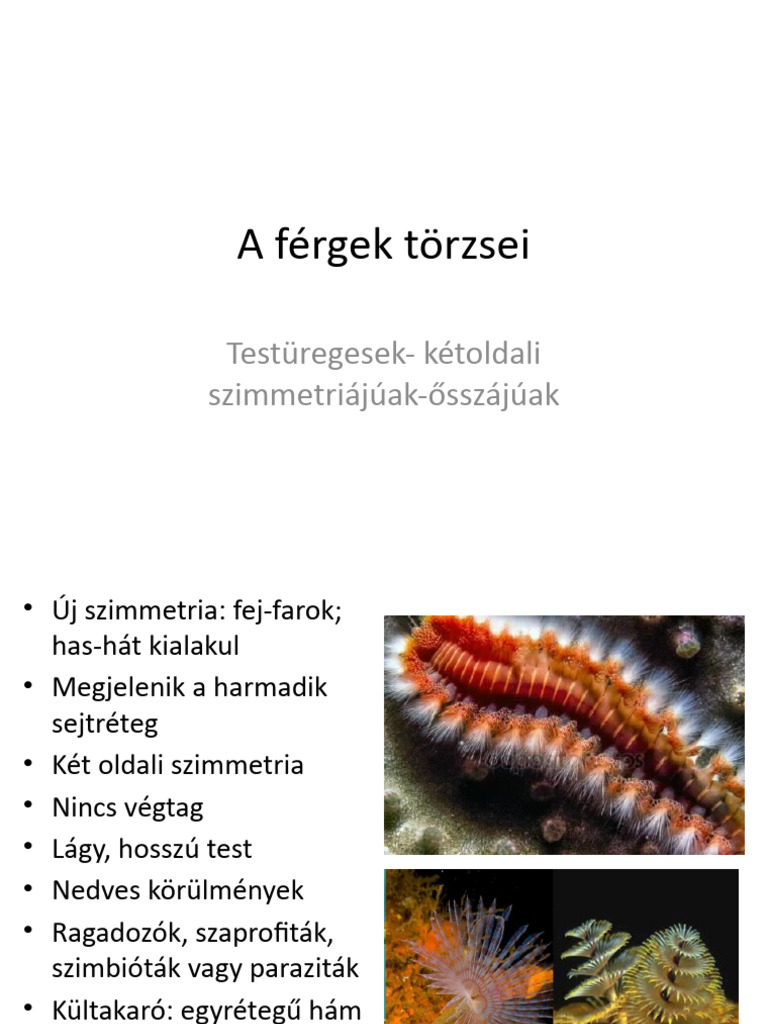 A Férgek Törzsei | PDF