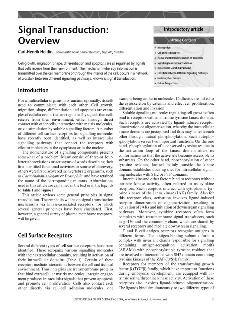 Cellular Signal Transduction Basics | PDF | Signal Transduction | Cell ...