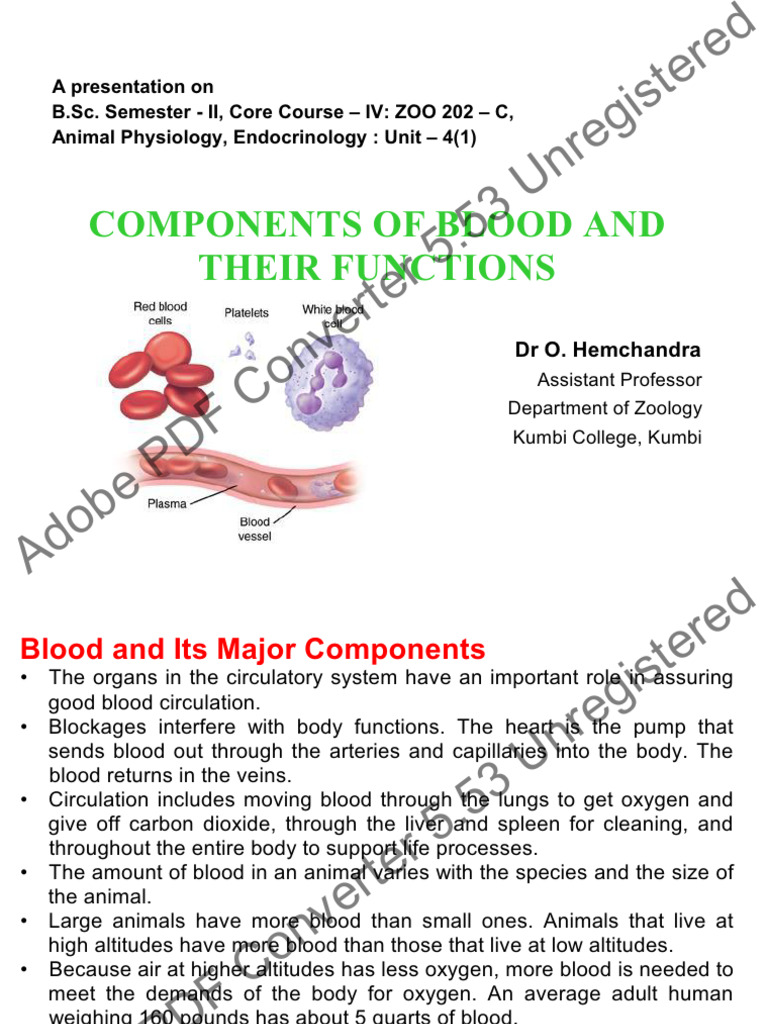 Unit 4 (1) Components of Blood and Their Functions | PDF | Blood | Artery