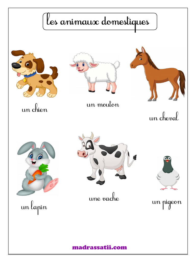 Liste des animaux domestiques | PDF