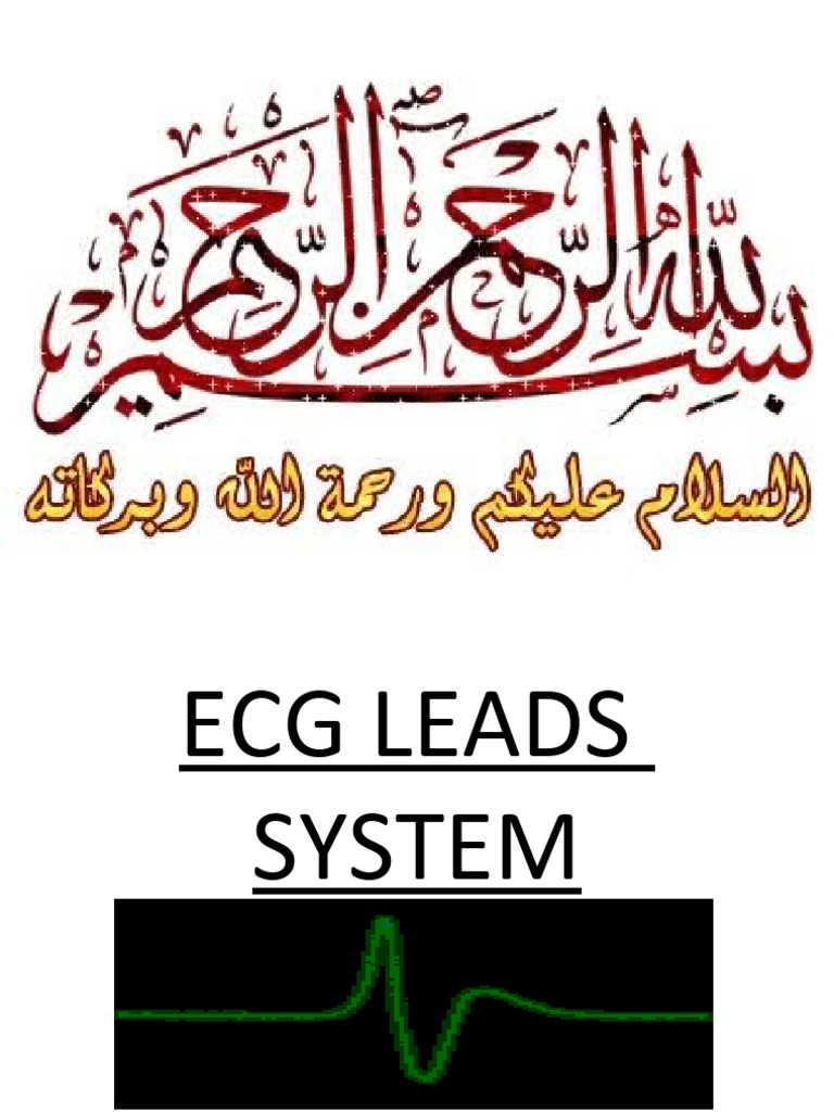 Understanding 12 Lead ECG Basics | PDF | Electrocardiography ...