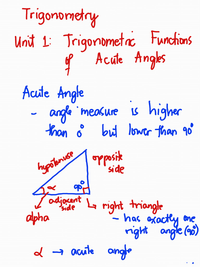 Trigonometry (Unit 1) | PDF