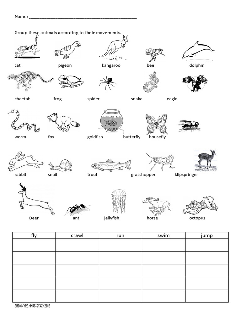 Animal Movement Classification Activity | PDF