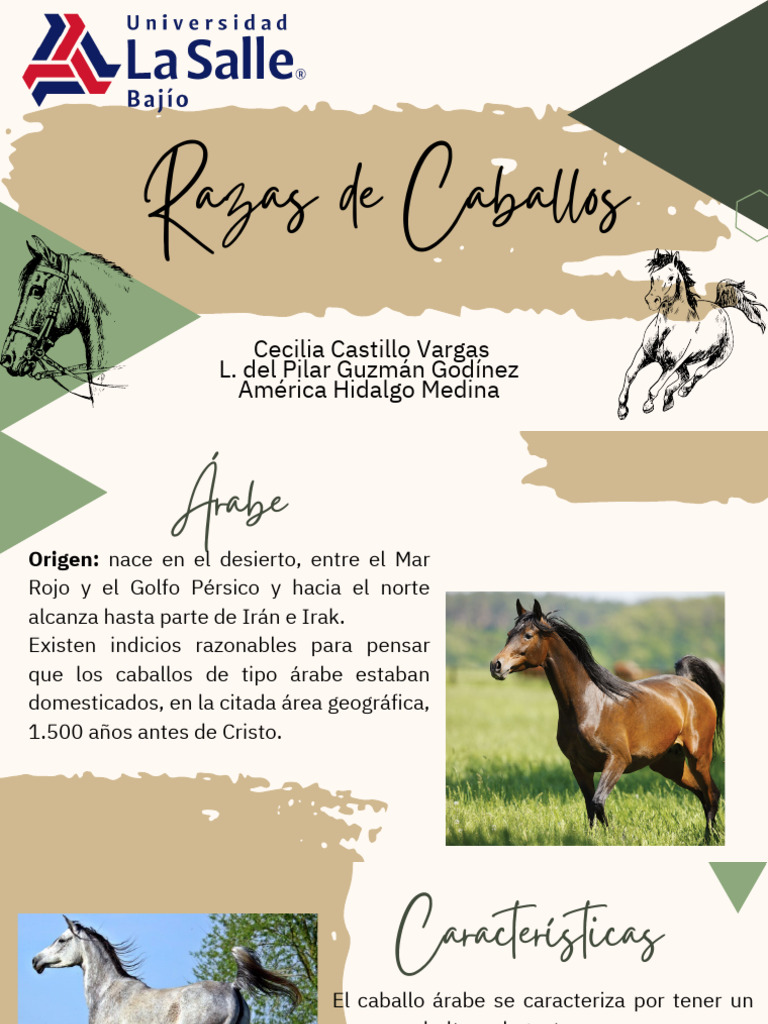 Razas de Caballos | PDF | Caballos | Équidos