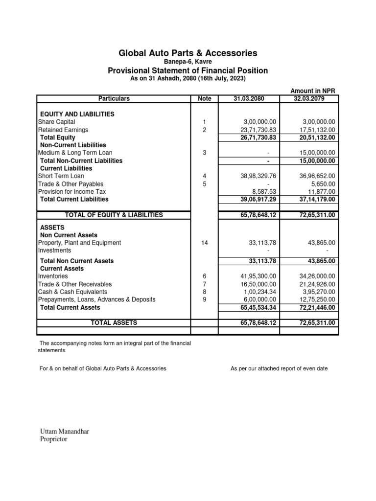 Global Auto Parts | PDF | Equity (Finance) | Expense