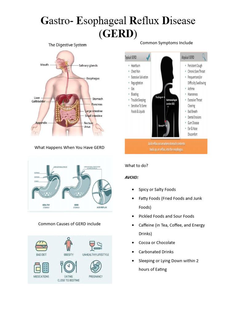 GERD Informatiion Leaflet | PDF | Lifestyle
