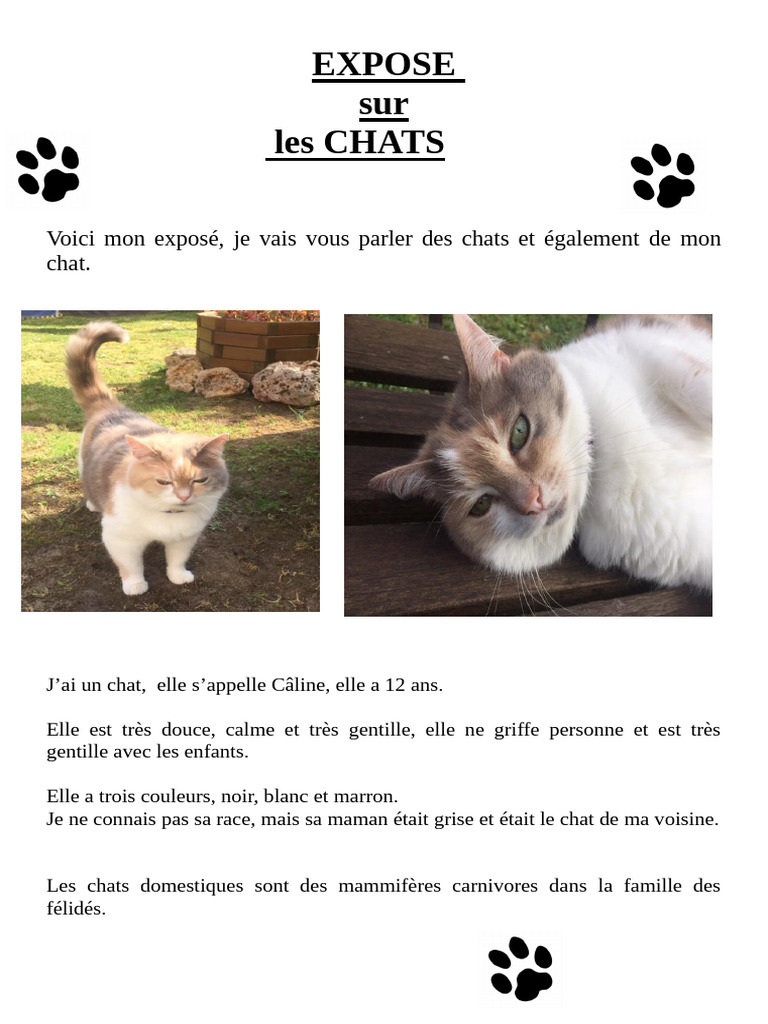 Exposé complet sur les chats | PDF | Chats | Félins