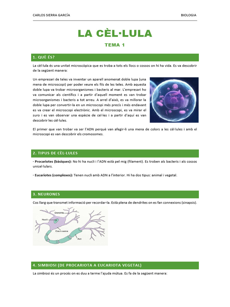 La Cèl·lula - Tema 1 | PDF