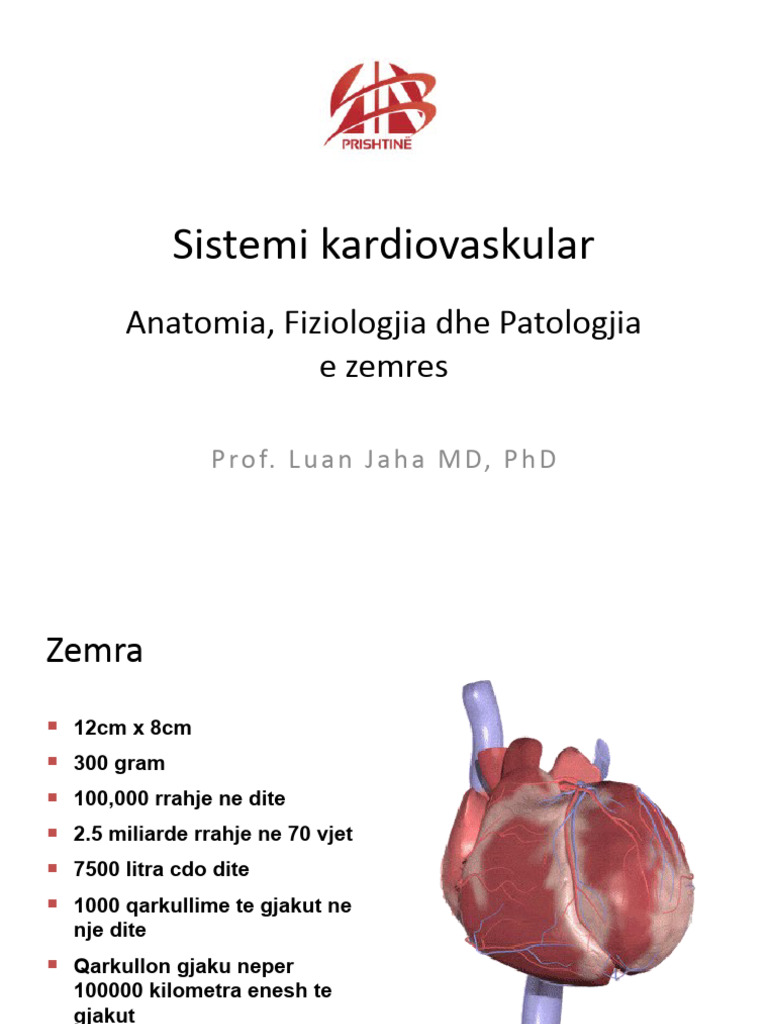Sistemi Kardiovaskular: Anatomia, Fiziologjia Dhe Patologjia e Zemres | PDF
