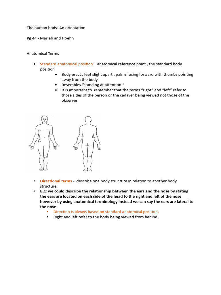 The Human Body - An Orientation | PDF | Human Anatomy | Morphology ...