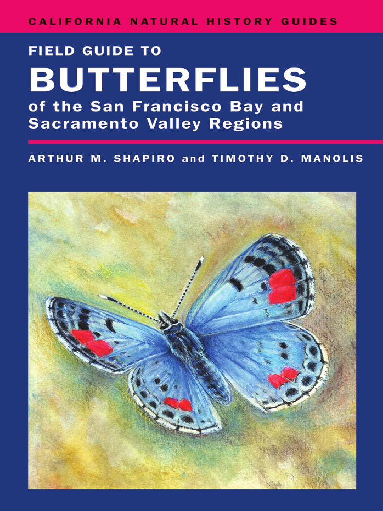 Field Guide To Butterflies of The San Francisco Bay and Sacramento ...
