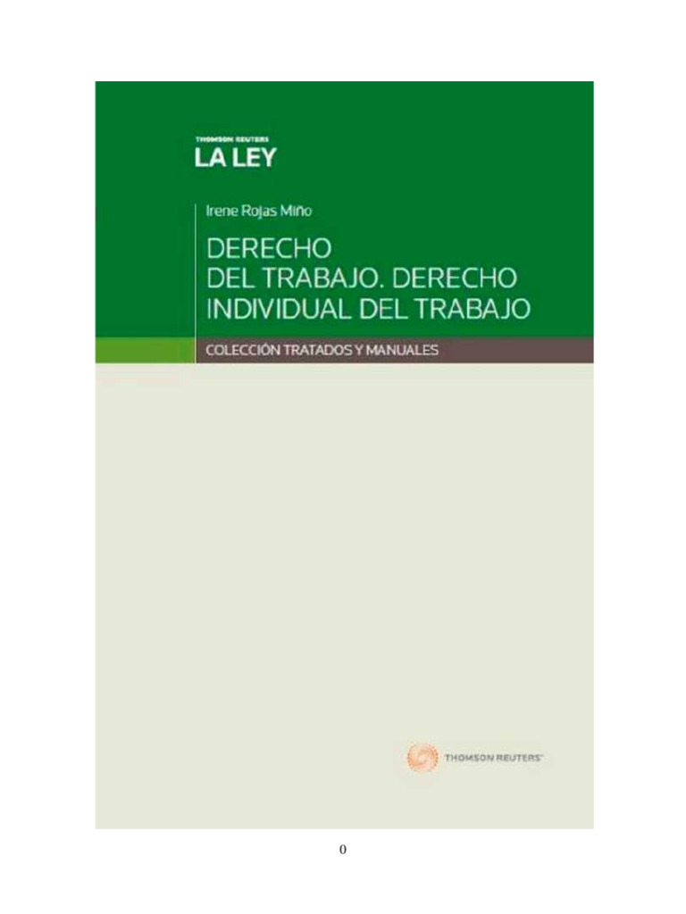 El Derecho Individual del Trabajo - Irene Rojas Miño | PDF | Derecho laboral | Salario
