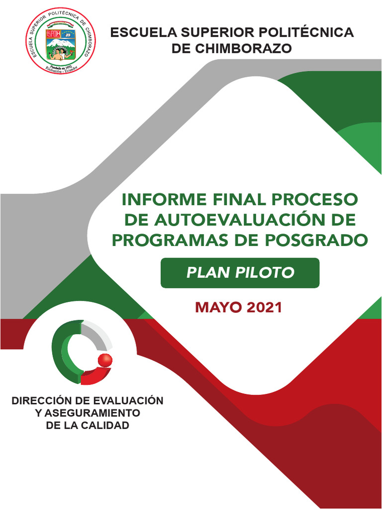 AEPP2021 Informe Final Proceso Autoevaluacion Programas Posgrado PLAN PILOTO MAYO 2021 | PDF ...