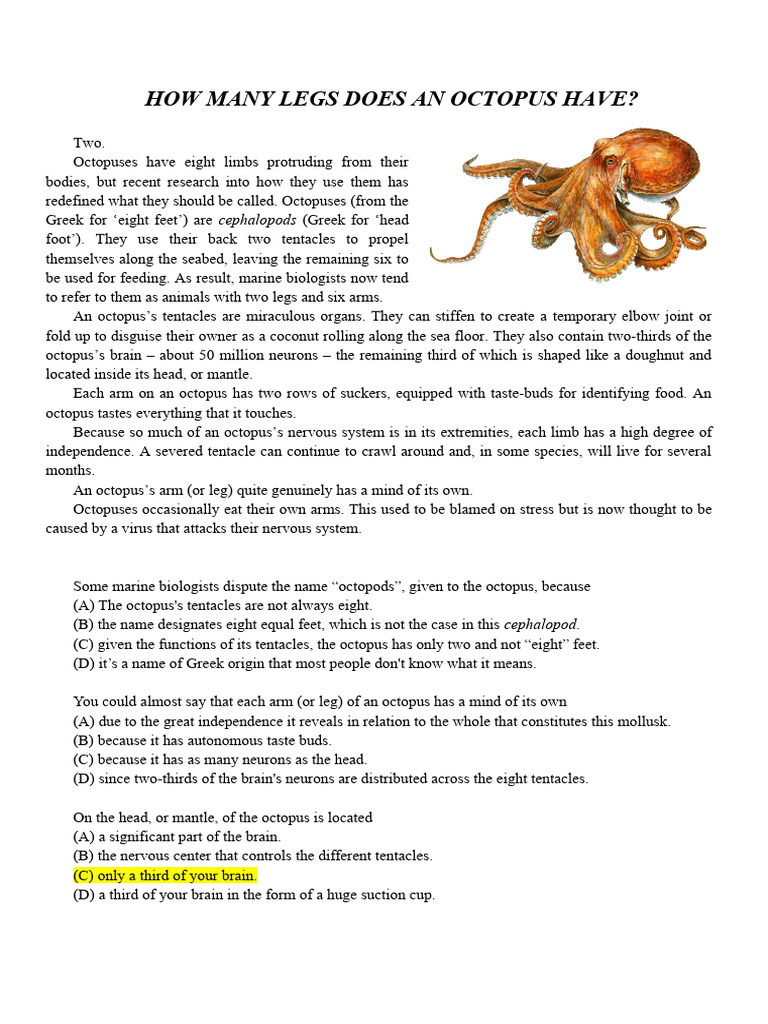 Octopus Limbs: Arms or Legs? | PDF | Octopus | Molluscs