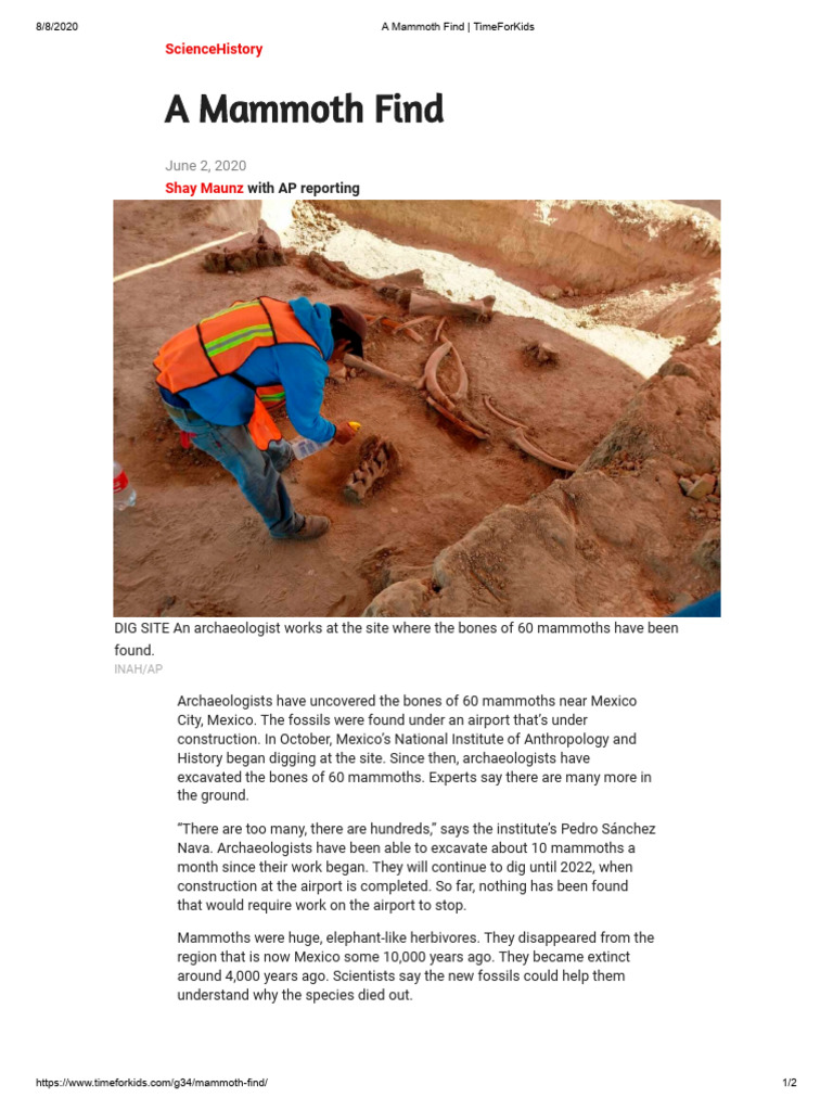 A Mammoth Find - TimeForKids | PDF | Archaeology | Fossil