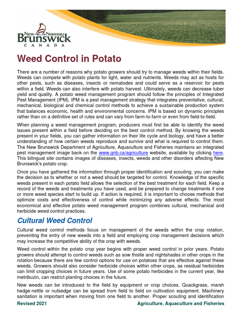 Weed Control Potato | PDF