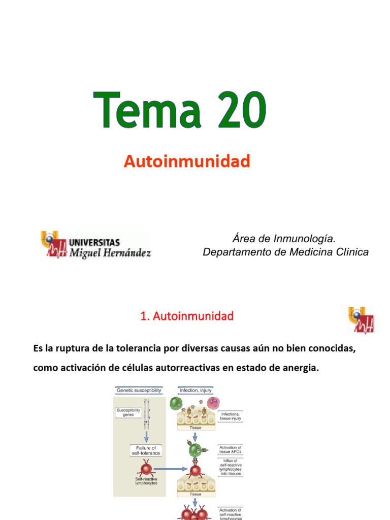 Tema 20 Autoinmunidad | PDF | Autoinmunidad | Sistema inmune