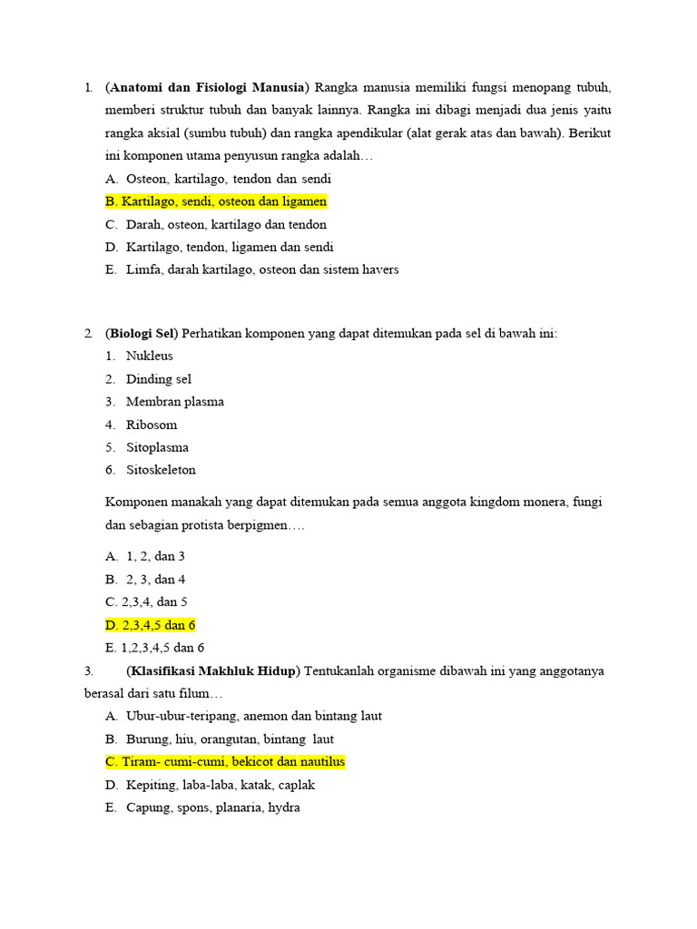 Ipa - KSDN 2024 | PDF