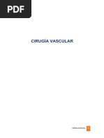 Anatomía y disección de la arteria mamaria interna | PDF | Tórax | Aorta