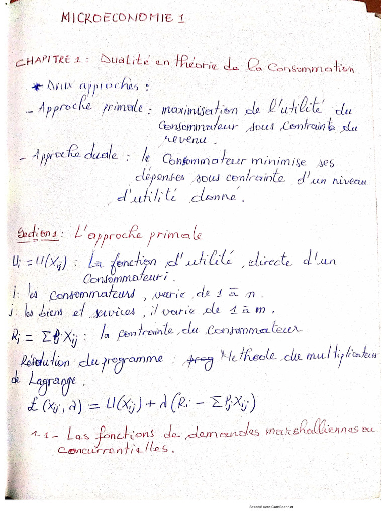 Résumé Micro Avancée 1 l2 | PDF