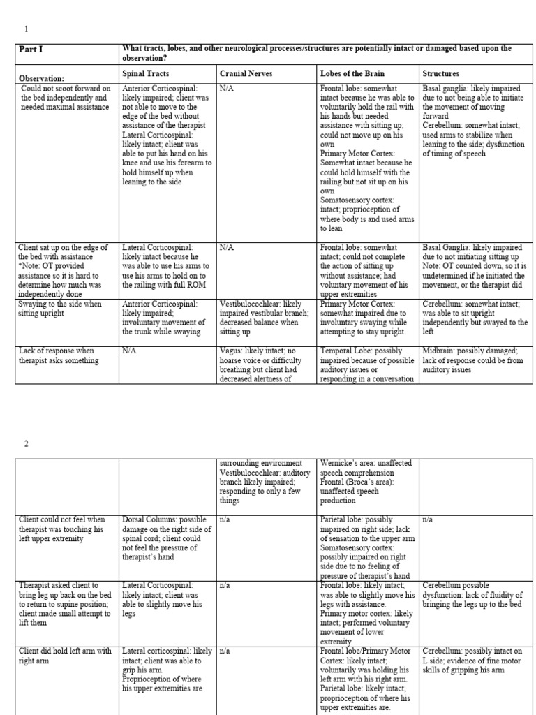 Case Study Updated | PDF | Physical Therapy | Cerebellum