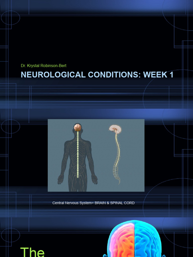 Neurological Conditions | PDF | Brainstem | Frontal Lobe