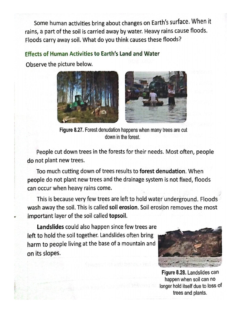 HO Pollution Grade 2 | PDF