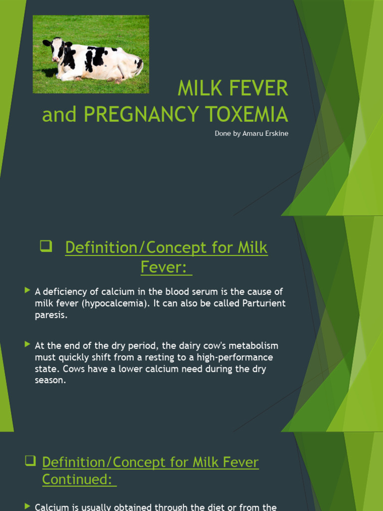 Milk Fever & Pregnancy Toxemia Guide | PDF | Medicine | Causes Of Death