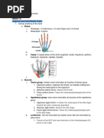 Palmar Approach - Modified Henry Approach | PDF | Hand | Human Anatomy
