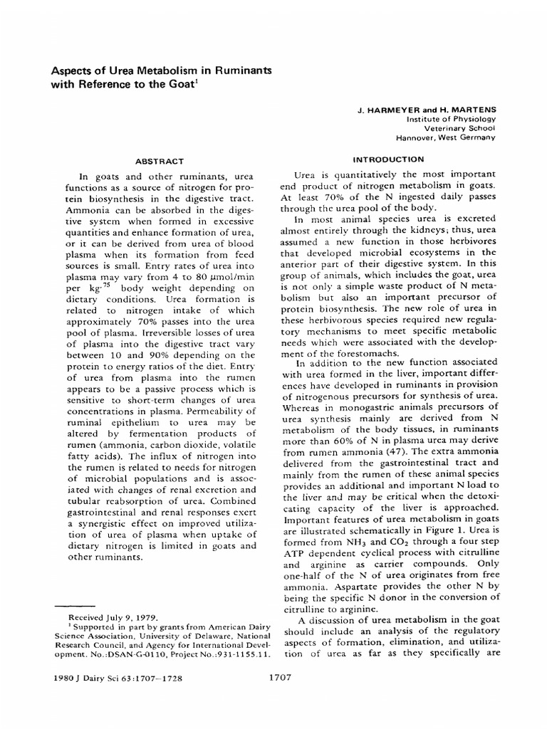 Aspects of Urea Metabolism in Ruminants With Referen 1980 Journal of Dairy S | PDF | Urea | Ruminant