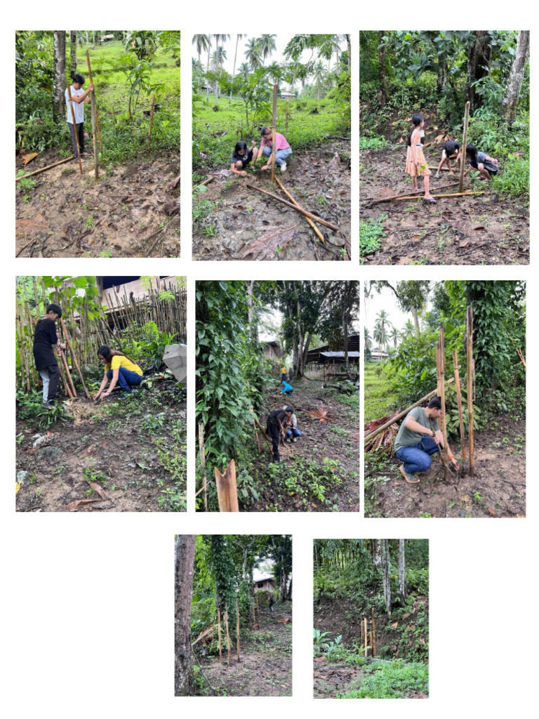 Tree Planting | PDF