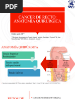 Anatomía y Fisiología Anorrectal | PDF | Recto | Sistema digestivo