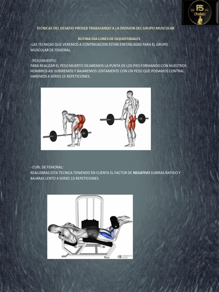TECNICAS DESAFIO PROSEB- | PDF | Entrenamiento con pesas | Anatomía humana
