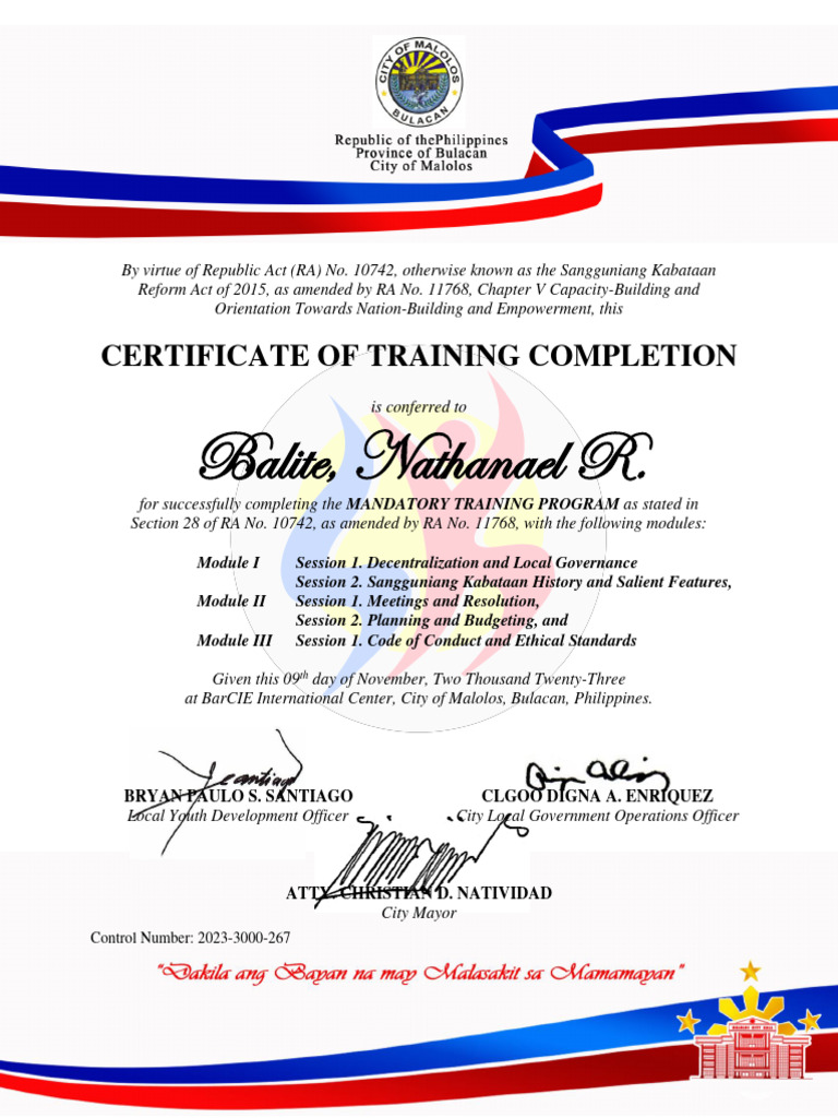 SK PANASAHAN SKMT Certificate of Completion | PDF | Government | Youth ...