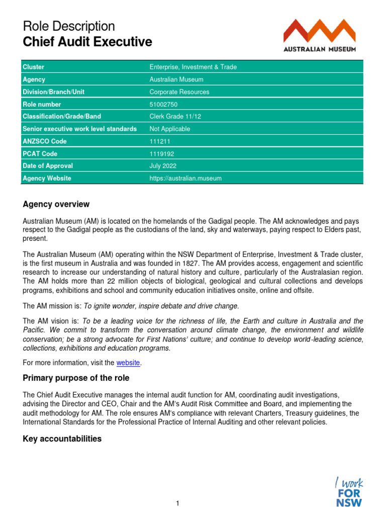 RD Chief Audit Executive | PDF | Internal Audit | Audit