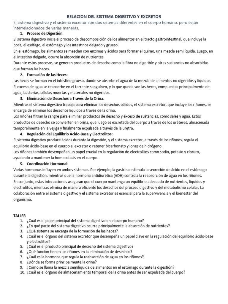 Relacion Del Sistema Digestivo y Excretor | PDF | Digestión | Sistema ...